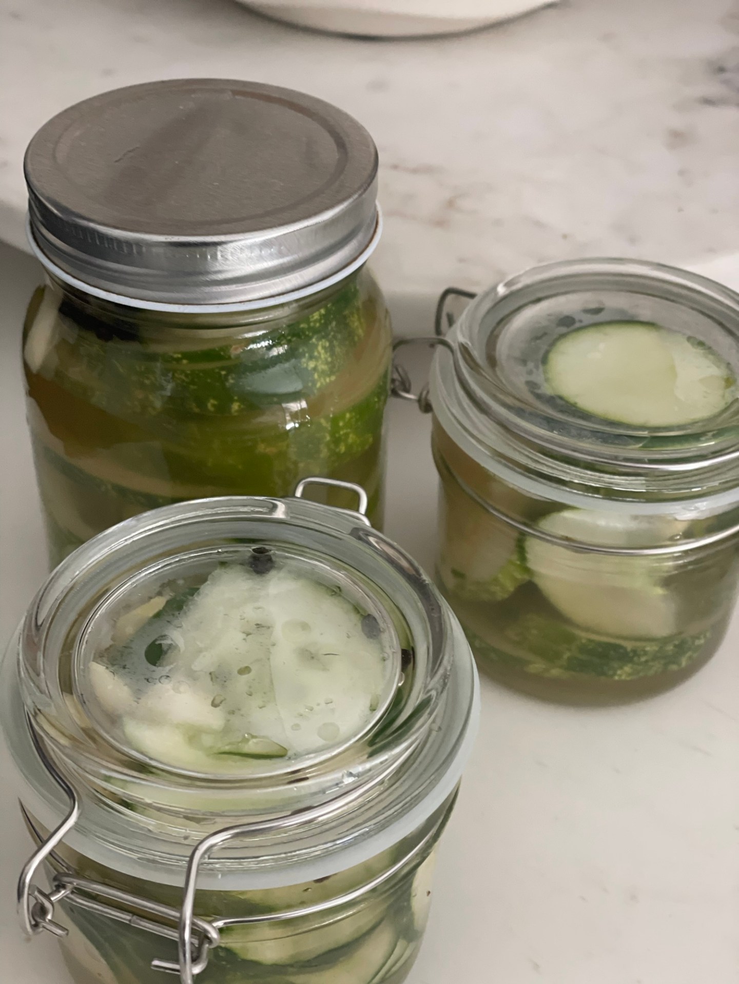 Garden Fresh Dill Pickles – Living Well w/ Lauren- Clean Ingredient Recipes